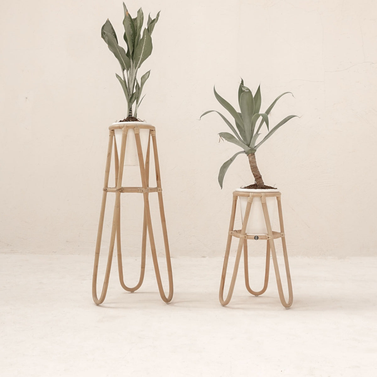 Oasis Stand with Pot – Elements Concept Interior